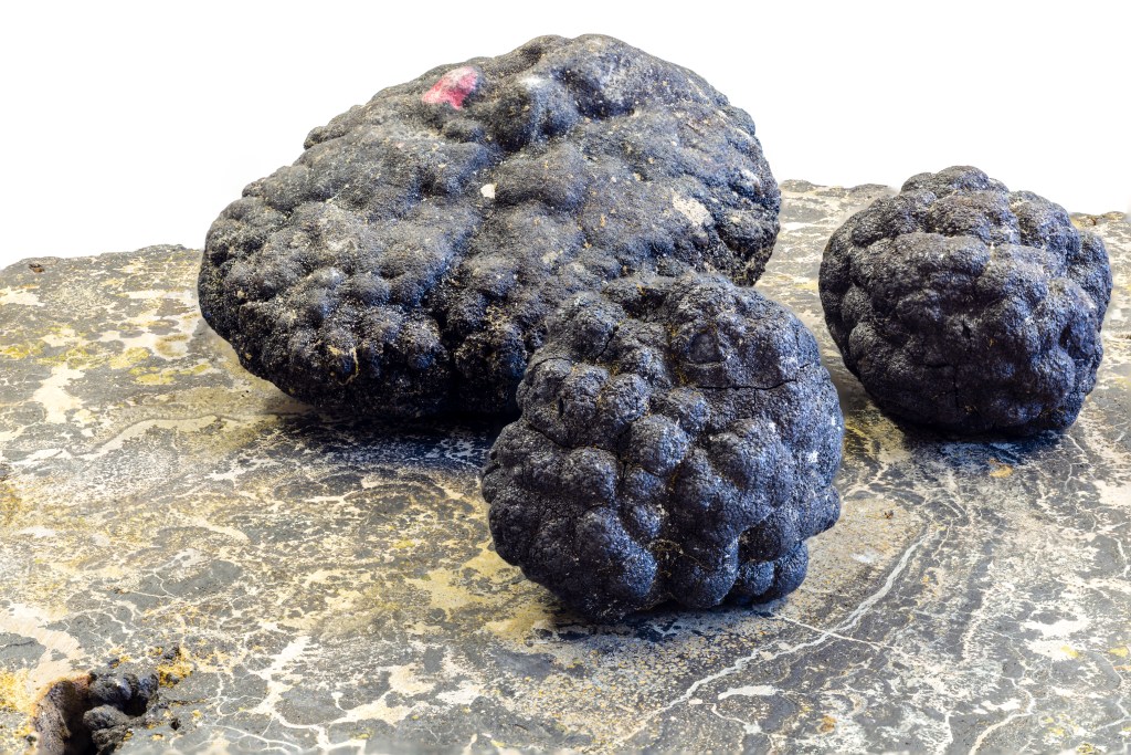 New Nature Geoscience study shows dark oxygen production by manganese ...